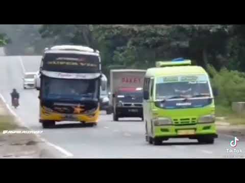 bus sempati star oleng