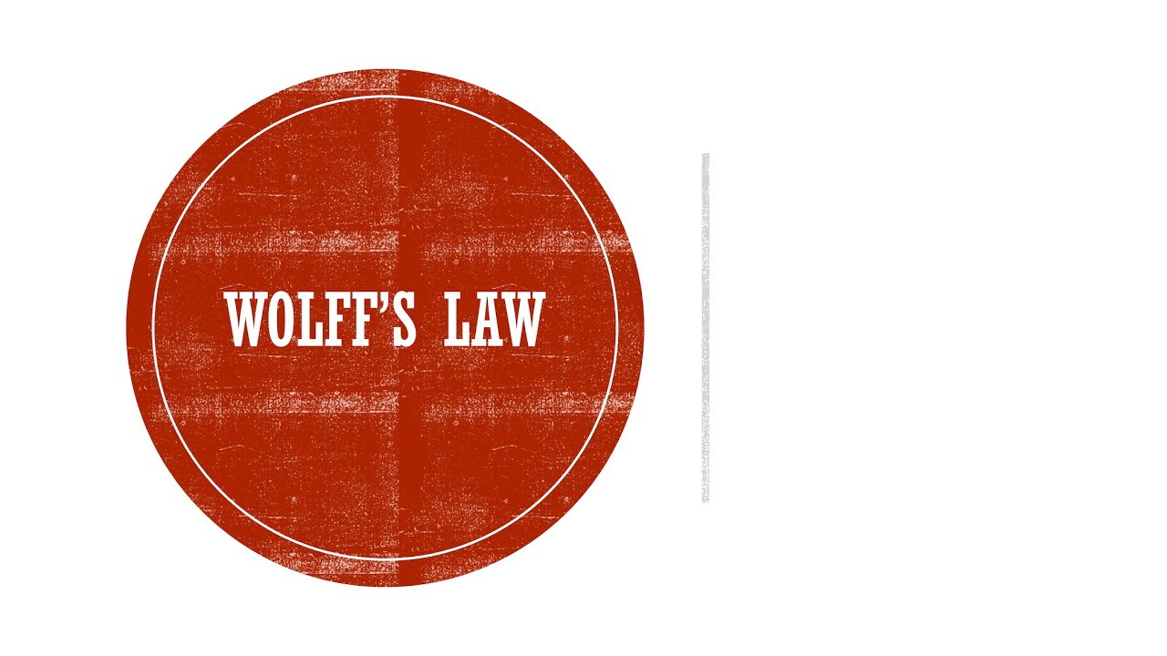 Wolff's Law - YouTube
