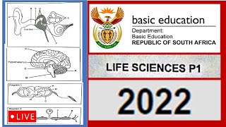 2025 Life Sciences P 1 May June Exam Prediction 2025 Paper 1 Grade 12 ...