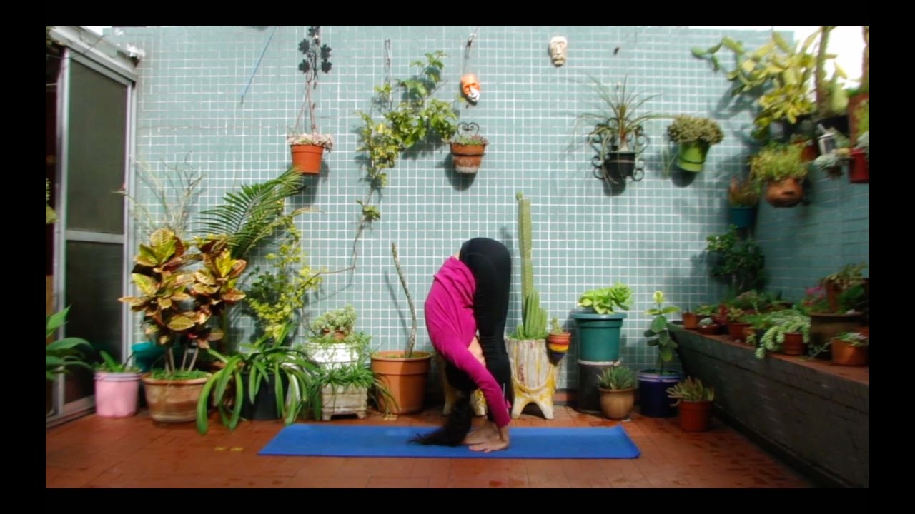Uttanasana - Postura de la pinza de pie (Yoga Asana) - YouTube
