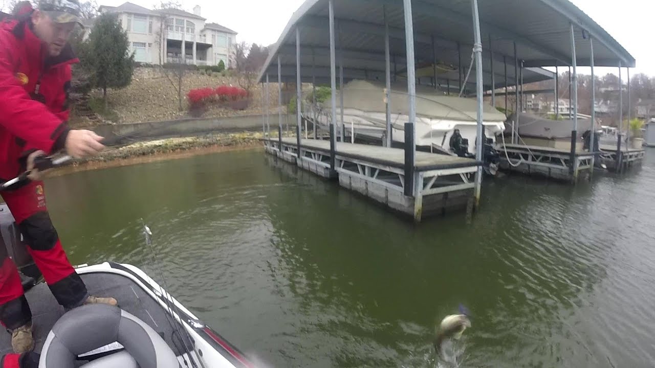 Fishing With Riley - YouTube