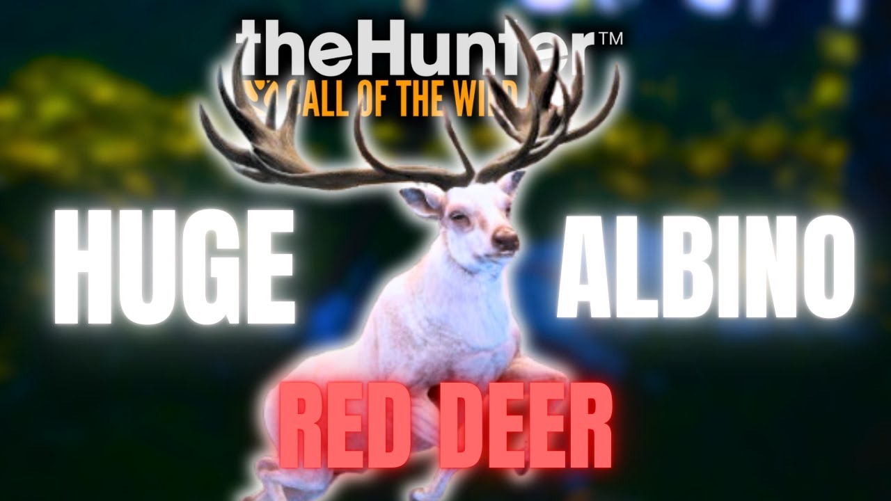 Insane Mythical Albino Red Deer [ Hunter Call of the Wild ] - YouTube