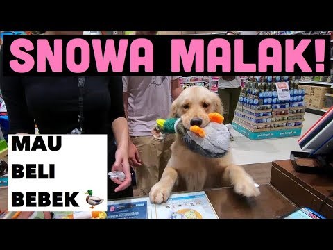 KELAKUAN SNOWA MINTA DIBELIIN MAINAN 😂