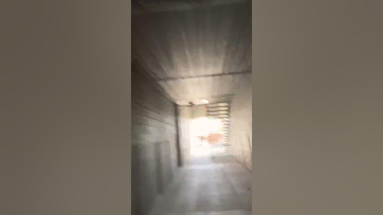 March 19, 2025 - YouTube