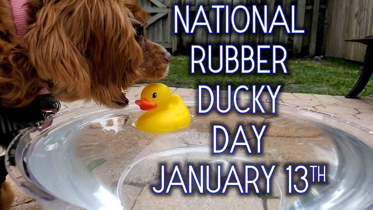 National Rubber Ducky Day - YouTube
