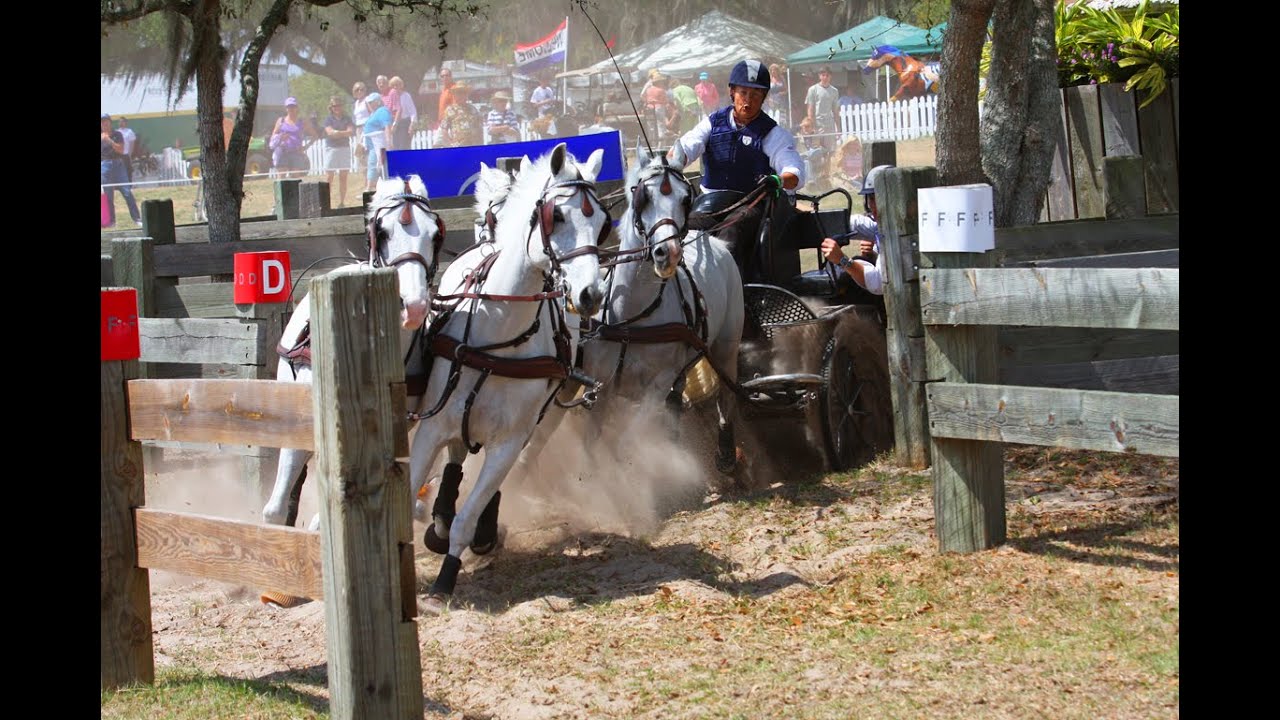 LIVE OAK COMBINED DRIVING EVENT - OCALA, FLORIDA - PART TWO - YouTube