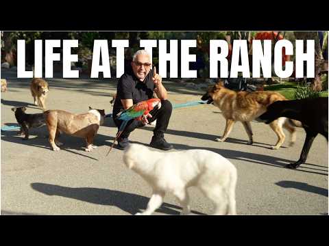 A Brand New Puppy's First Day at the Ranch! | Life at the Ranch Ep. 2