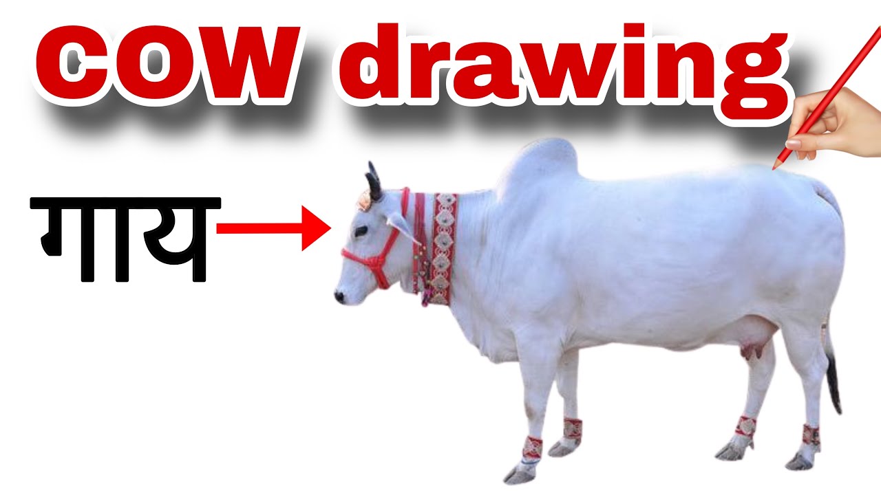 Cow drawing from गाय Word/How to draw cow/word drawing/sankranti ...