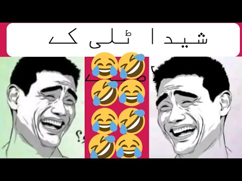 funny video! funny jokes! funny clips! comedy! intertinment! jokes ...