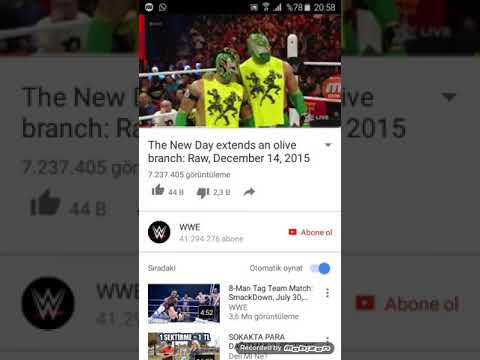 Remisteryonun       kavga sı