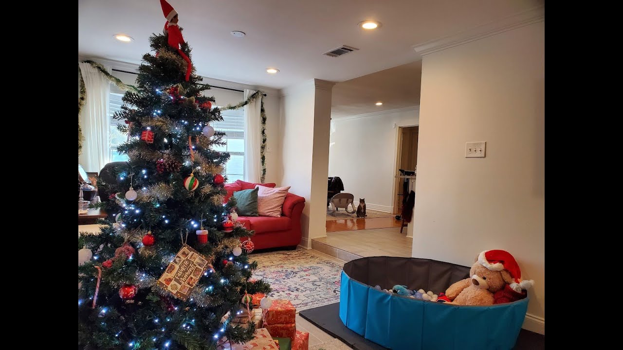 What We Got Our Son For Christmas Last Year 2022 at 8 Months Old ...