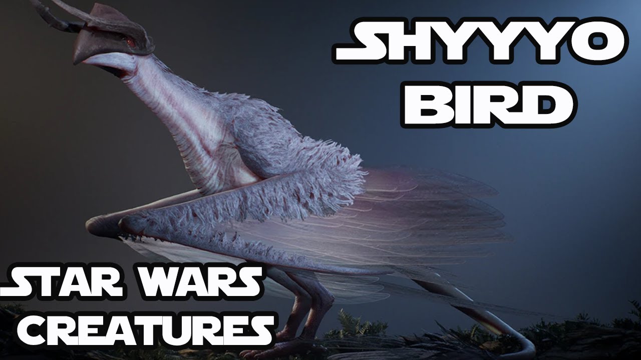 Shyyo Bird | Star Wars Creatures - YouTube