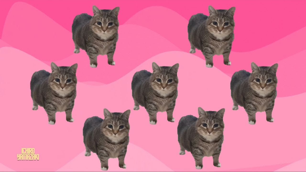 Ichiro Yamazaki - Oiiaoiia Cat - YouTube