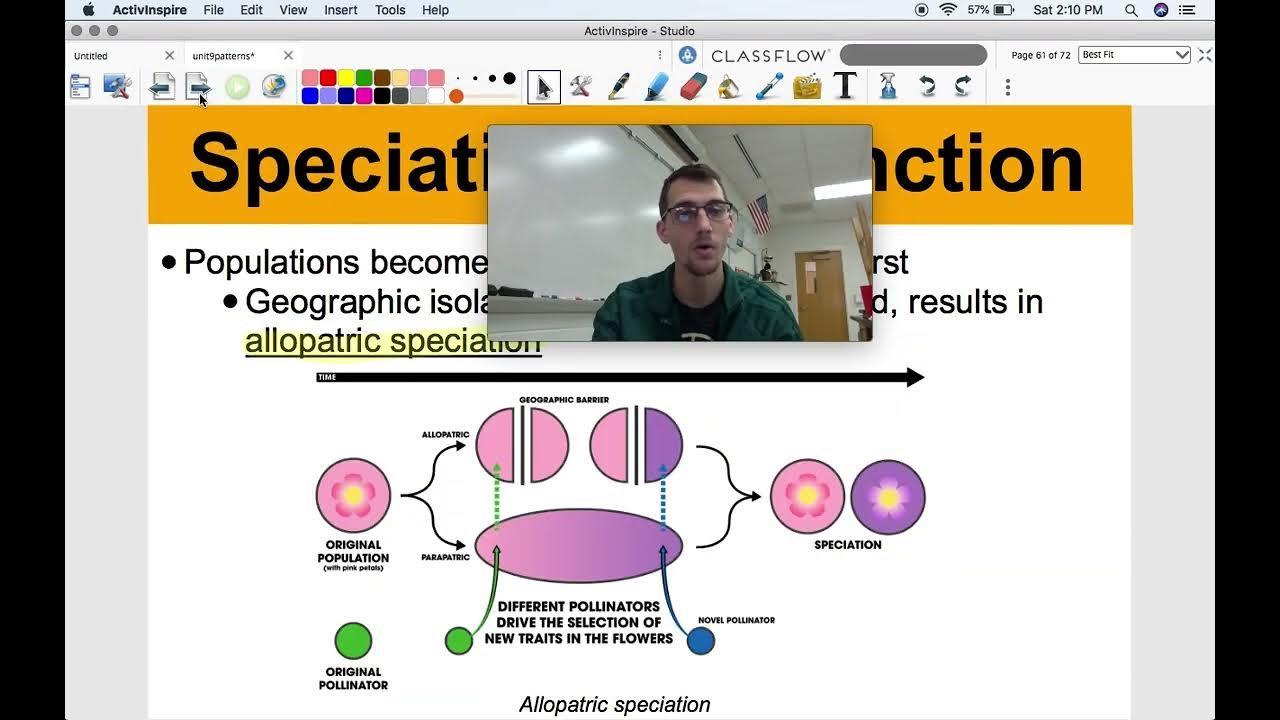 Speciation + Extinction - Life Science/Biology: HS-LS4-5 - YouTube