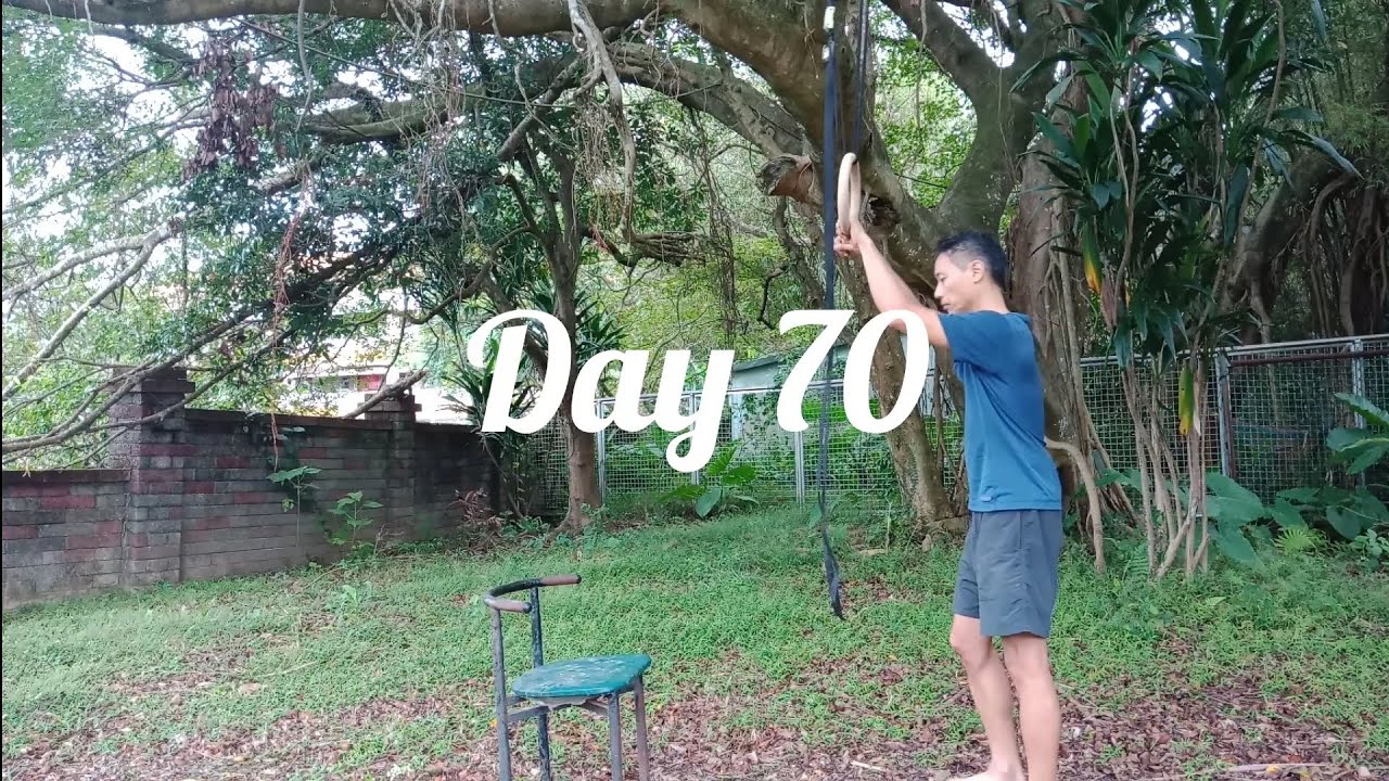 Day 70 - Training Hybrid Calisthenics: Jackknife Pullups, Horizontal ...