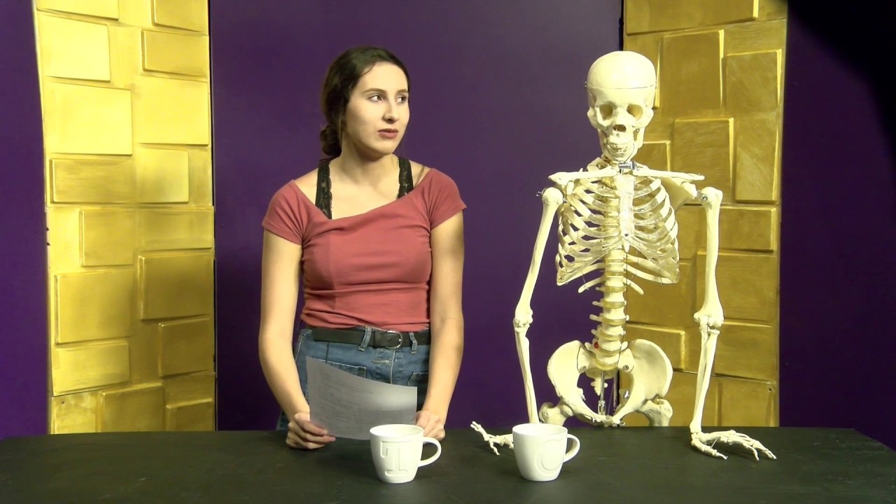 Halloween TCTV Featuring Napoleon Bone-Apart! - YouTube