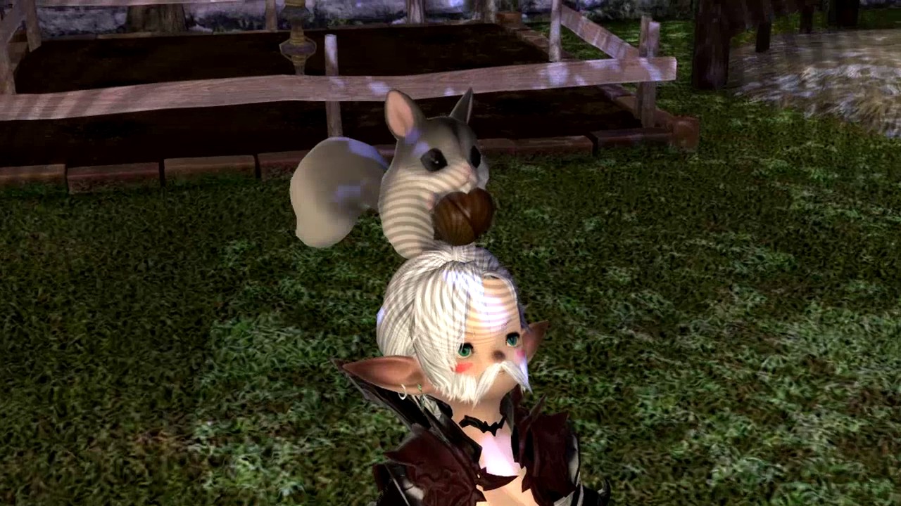 nutkin.mp4 - YouTube