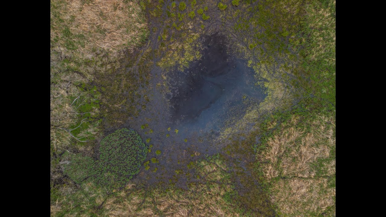 Fen in Eastern Iowa, rare natural wetland ecosystem (4k, drone) - YouTube