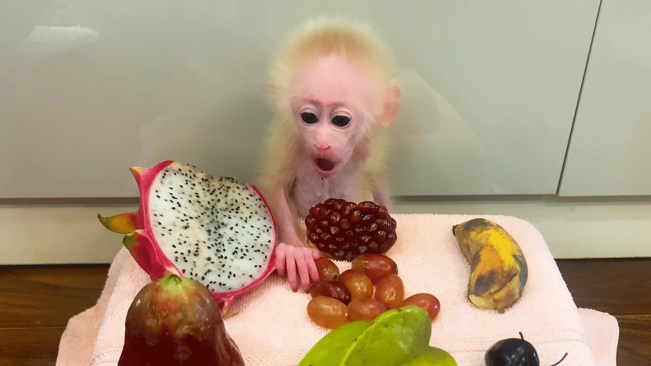 Baby Bibi's Hearty Lunch ️ Great! - YouTube