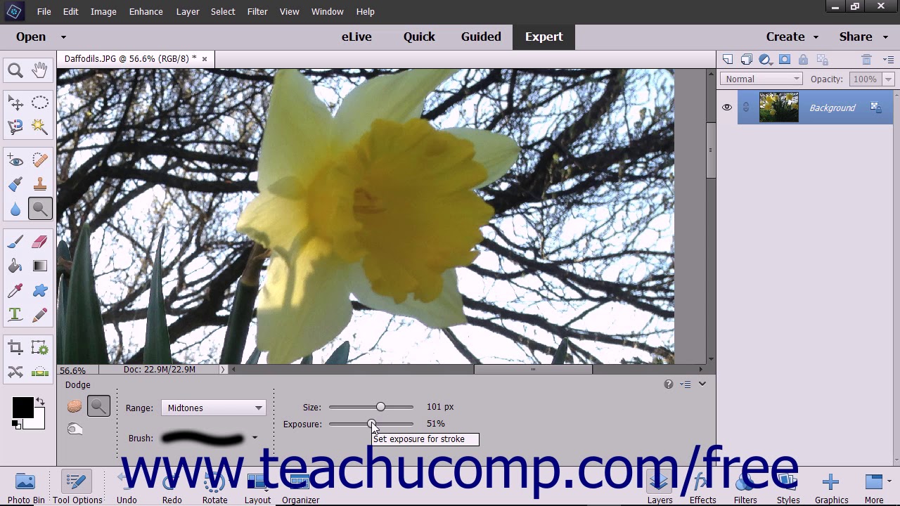 Photoshop Elements 2018 Tutorial Using the Dodge Tool & the Burn Tool ...