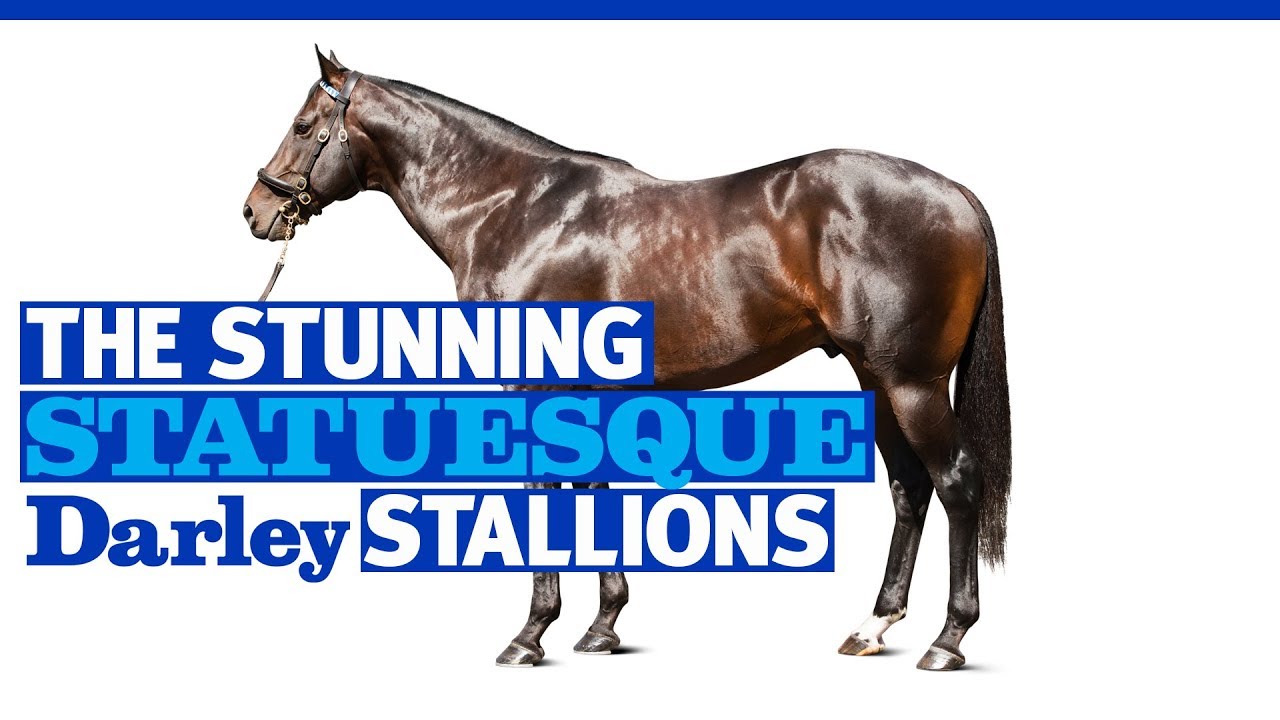 The 2018 Darley Stallion Roster for Australia - YouTube
