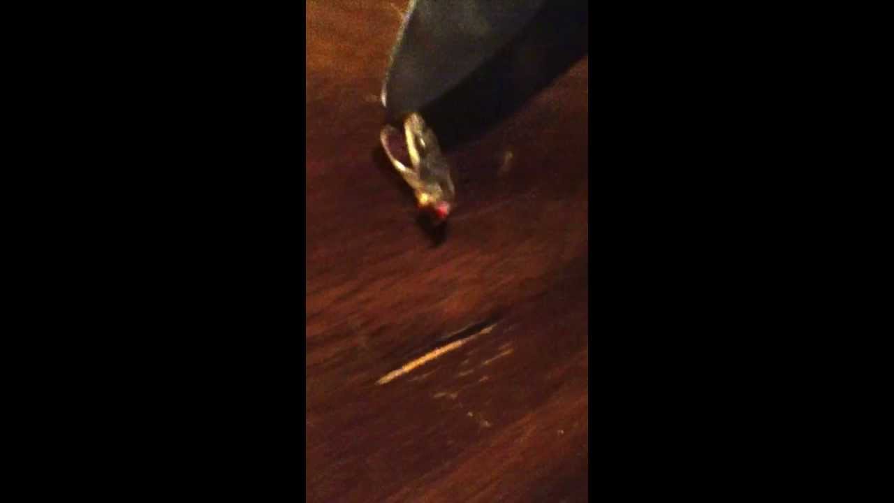 Snake head still moving after chopped off - YouTube