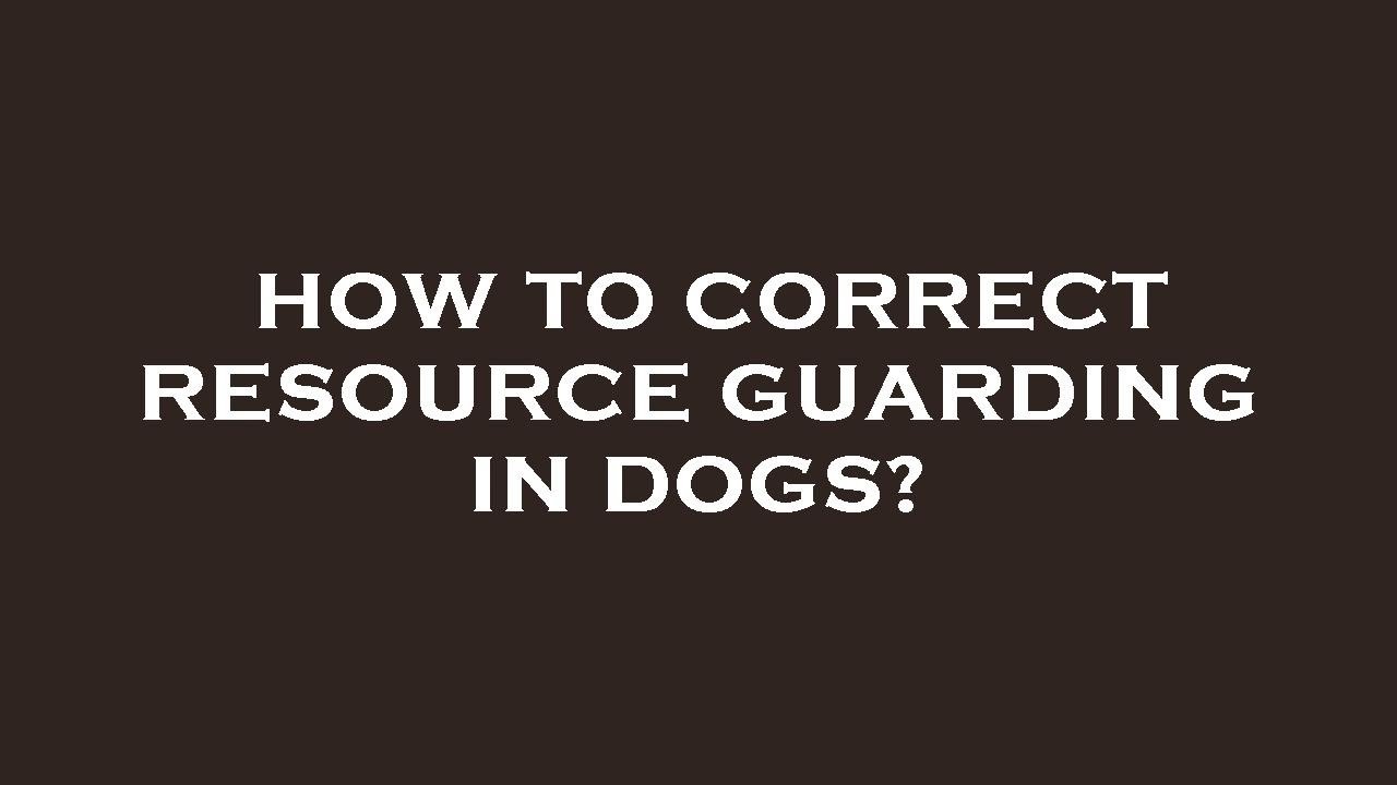 How to correct resource guarding in dogs? - YouTube