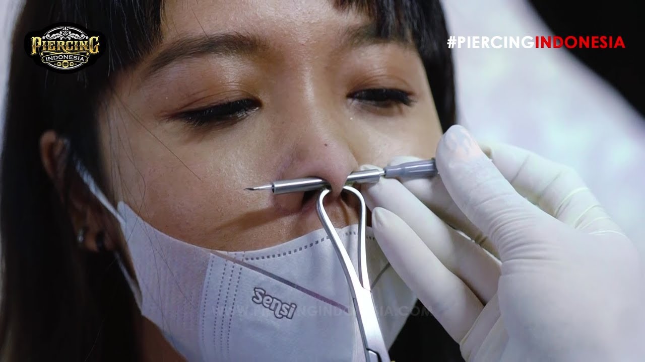 Tindik Hidung Septum Bali | Piercing Indonesia Bali, Buka 25 Juni 2021 ...