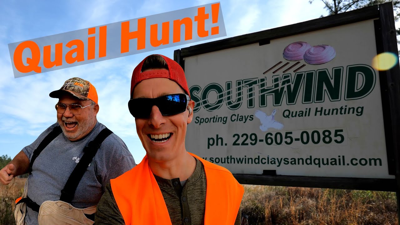 South Georgia Quail Hunt at Southwind (Quitman, GA) - YouTube