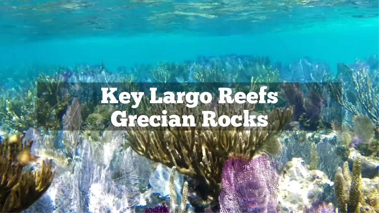 Grecian Rocks Reef John Pennekamp Coral Reef State Park 4K - YouTube