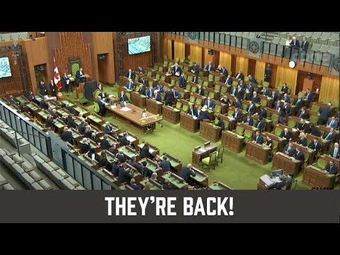 THEY'RE BACK! - YouTube