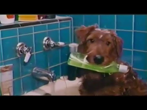 Firehouse Dog (2006) - TV Spot 2 - YouTube