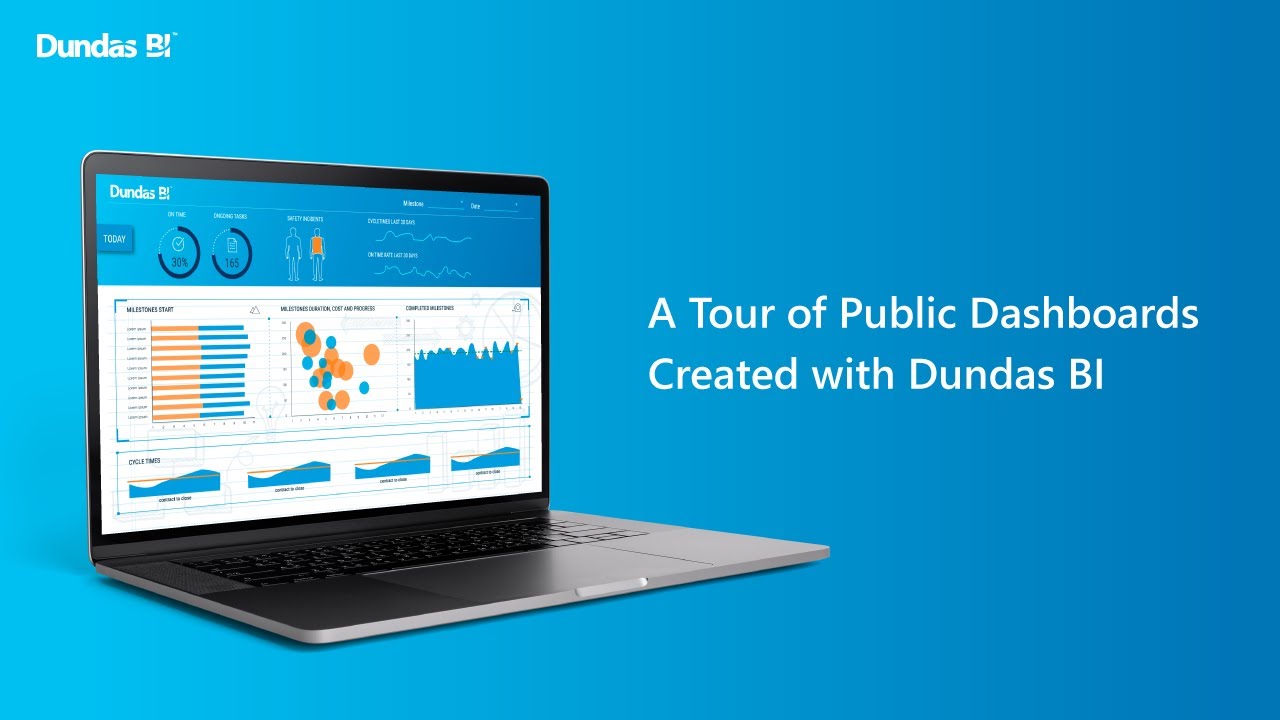 A Tour of Public Dashboards Created with Dundas BI - YouTube