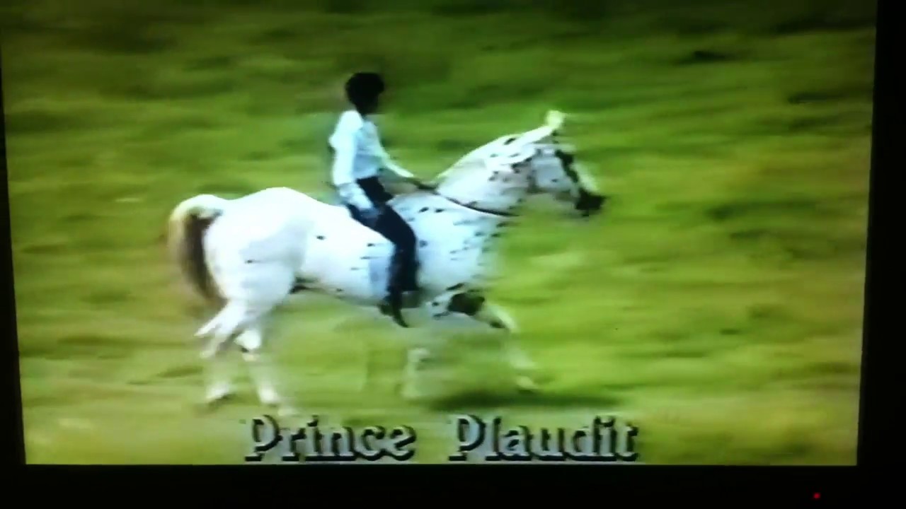 PRINCE PLAUDIT - YouTube