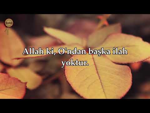 KABE İMAMI ŞEYH ALAFASY HOCAMIZDAN KURAN TİLAVETİ