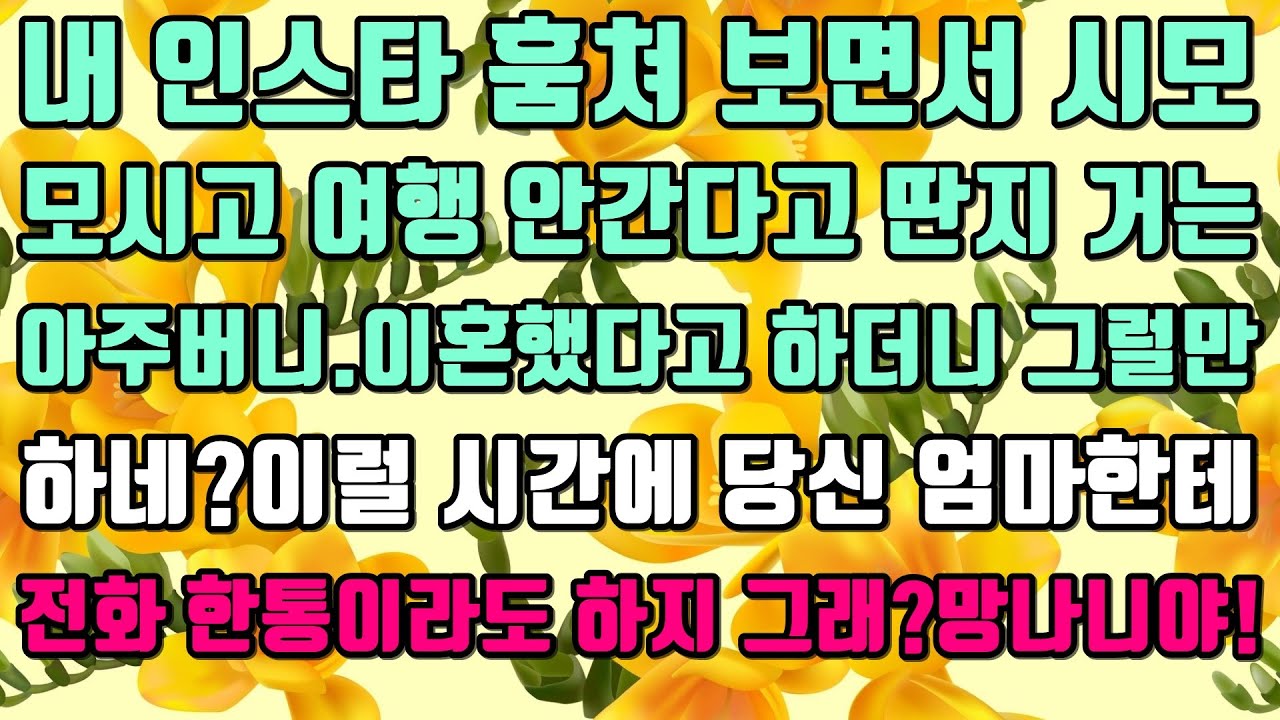 카카오실화사연 내 인스타 훔쳐 보면서 시모 모시고 여행 안간다고 딴지 거는아주버니이혼했다고 하더니 그럴만하네이럴 시간에 당신 엄마한테 전화 한통이라도 하지 그래
