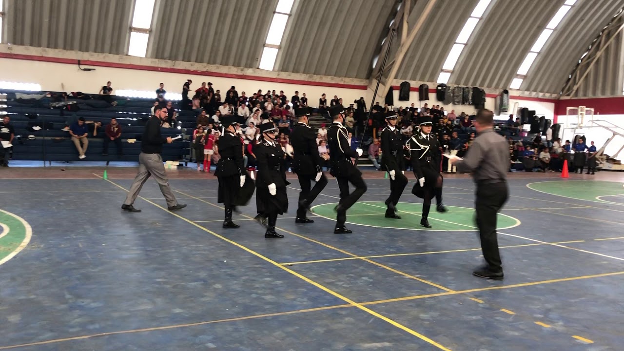 Halcones CBTIS 11 Hermosillo, Subcampeones 🥈Categoría Preparatoria ...