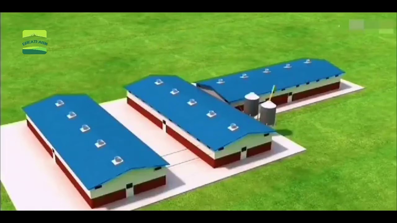 Amazing! The fully automated intelligent pig farm actually works like ...