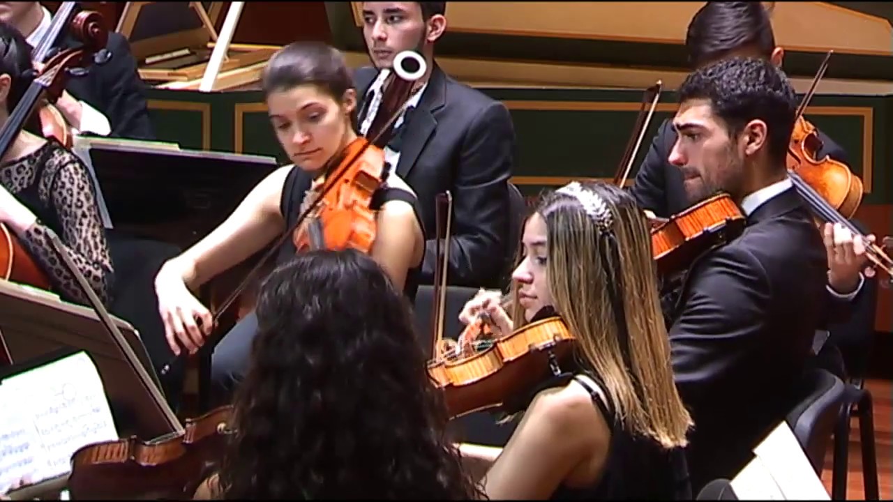 C.P.E. Bach: Sinfonía para cuerdas y bajo continuo H 659 - Camerata ...