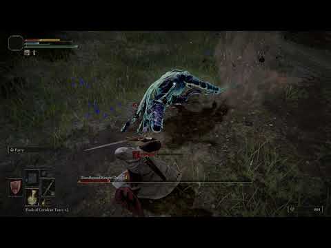 Elden Ring - Hit box porn