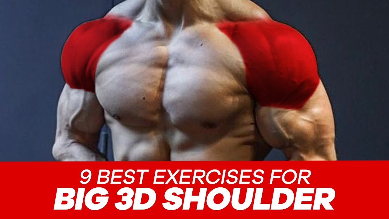 9 Best Exercises For Big 3d Shoulder | Massive Shoulder Workout - YouTube