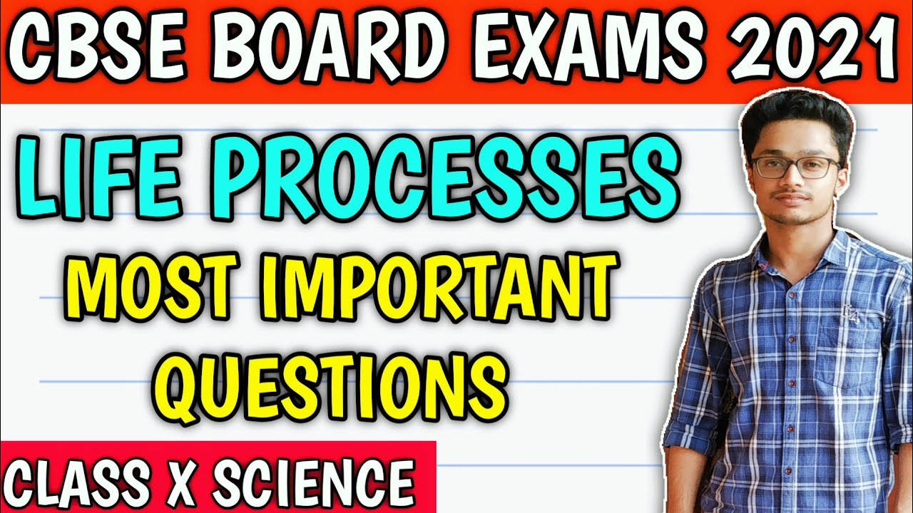 Life Processes Most Important Questions Class 10 Cbse Science |Life ...