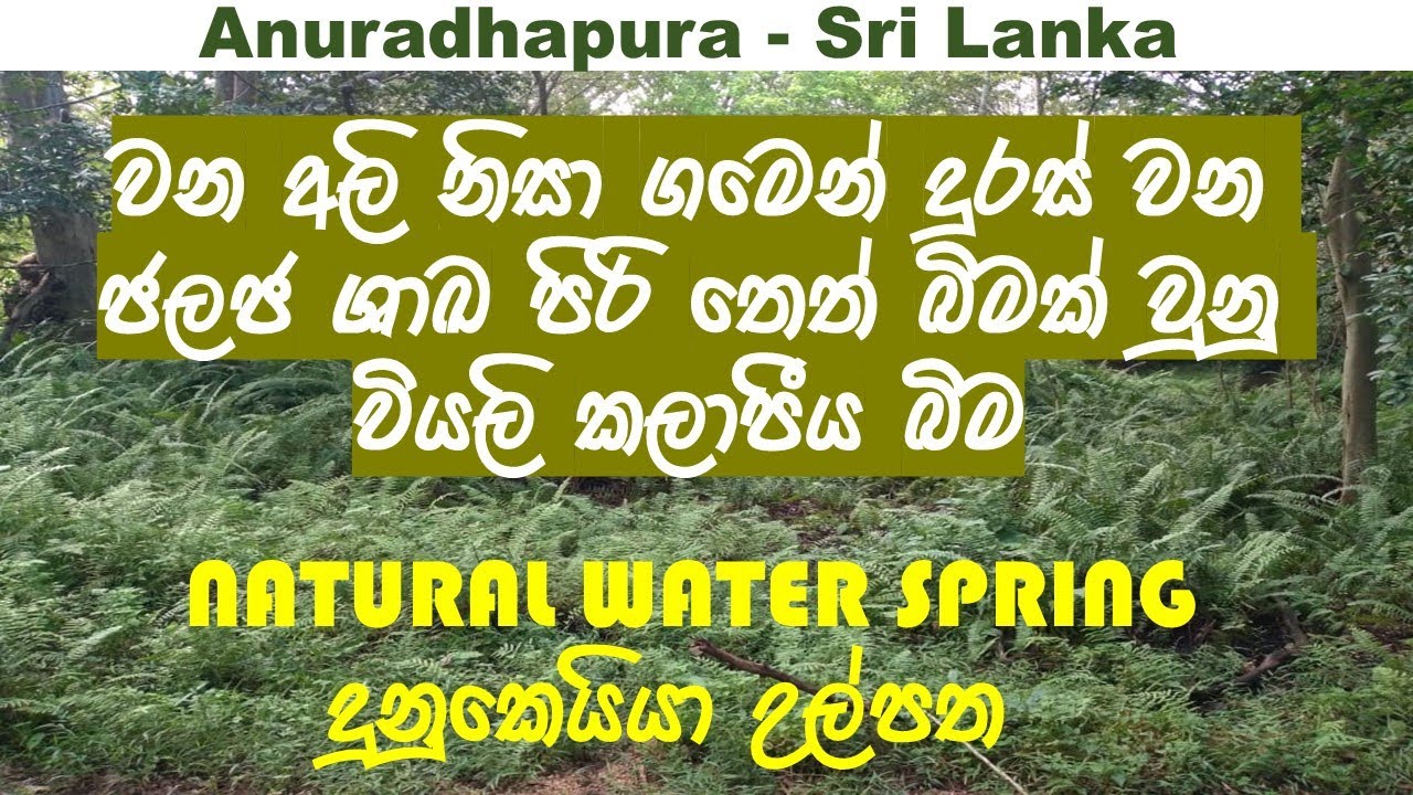 දුනුකෙයියා උල්පත -අනුරාධපුර Natural Water Spring- Dunukeyya Ulpatha ...