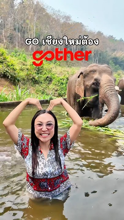 อาบน้ำช้างที่เชียงใหม่🐘 เมืองไทยก็มีแบบนี้ด้วยพึ่งรู้😱 ต้องขอบคุณ Gother เลย🙏🏻‼️ - YouTube