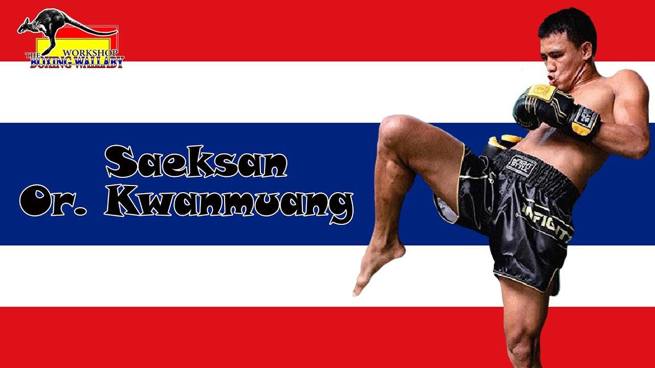 Saeksan Or. Kwanmuang "Devastating Knees and Bold Elbows" Highlight ...