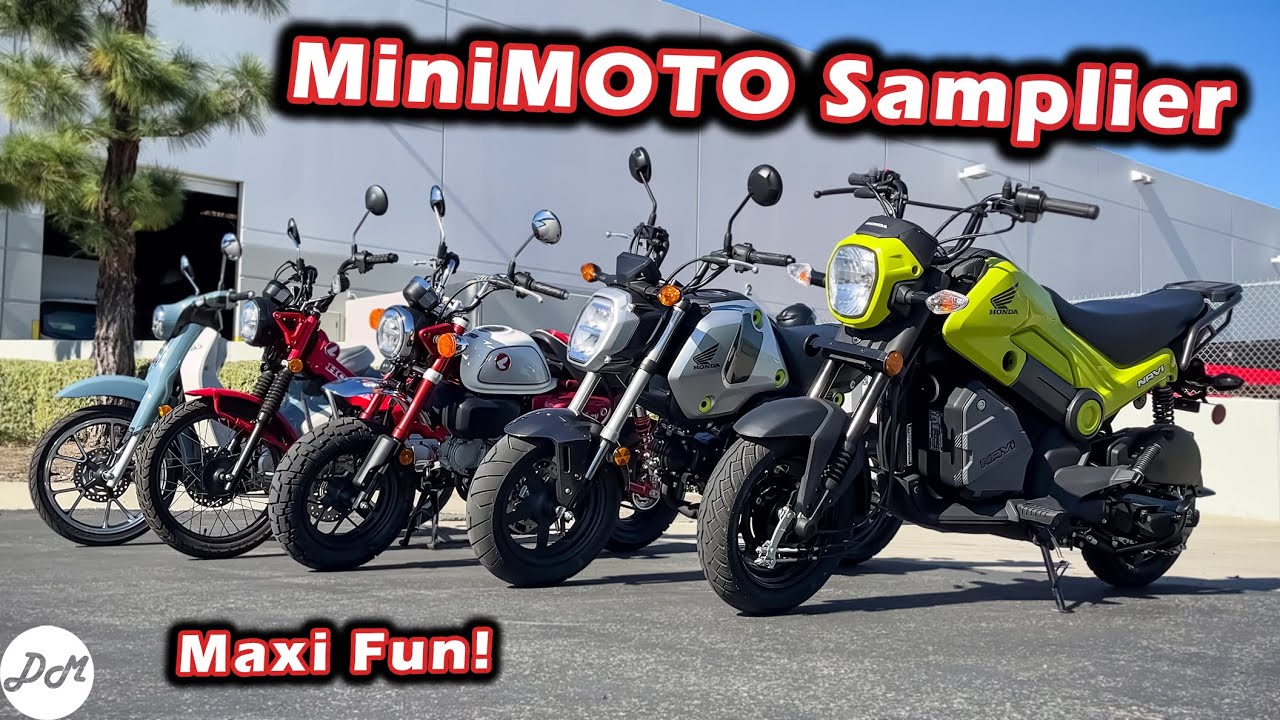Honda MiniMOTO Buyer's Guide: Grom, Monkey, Navi, Super Cub, Trail 125 ...