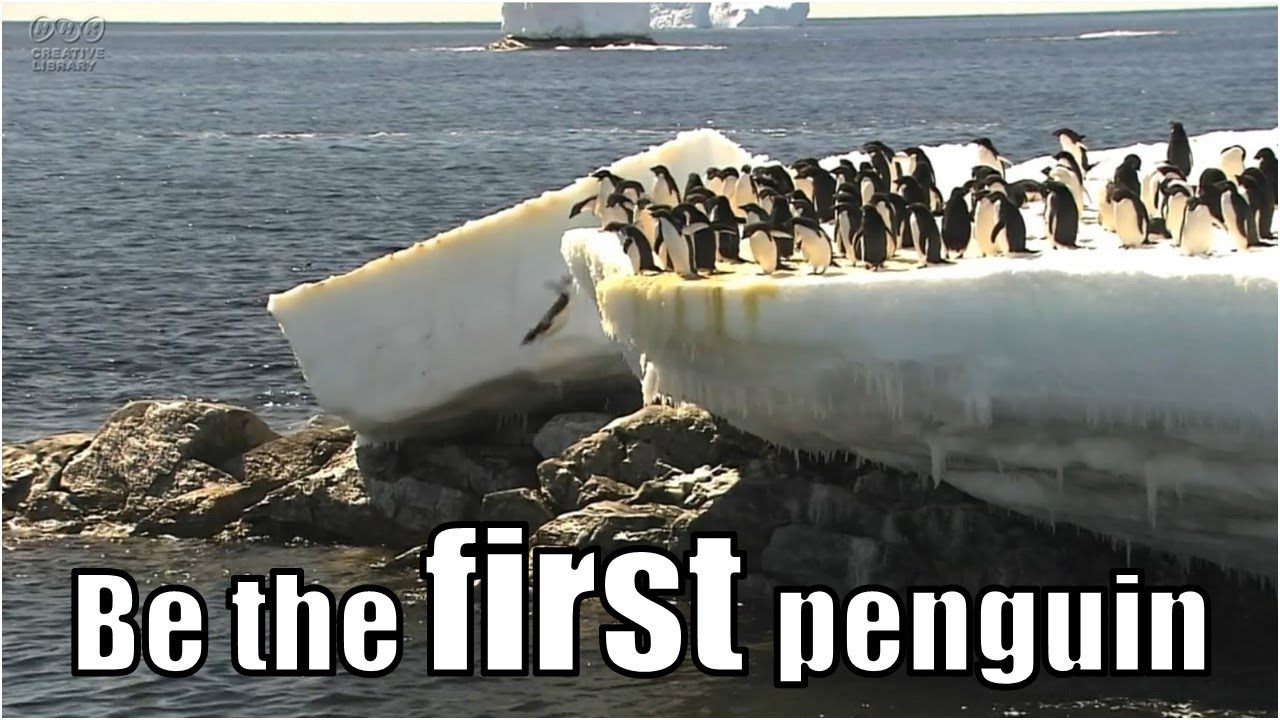 Be the first penguin (Full) - YouTube