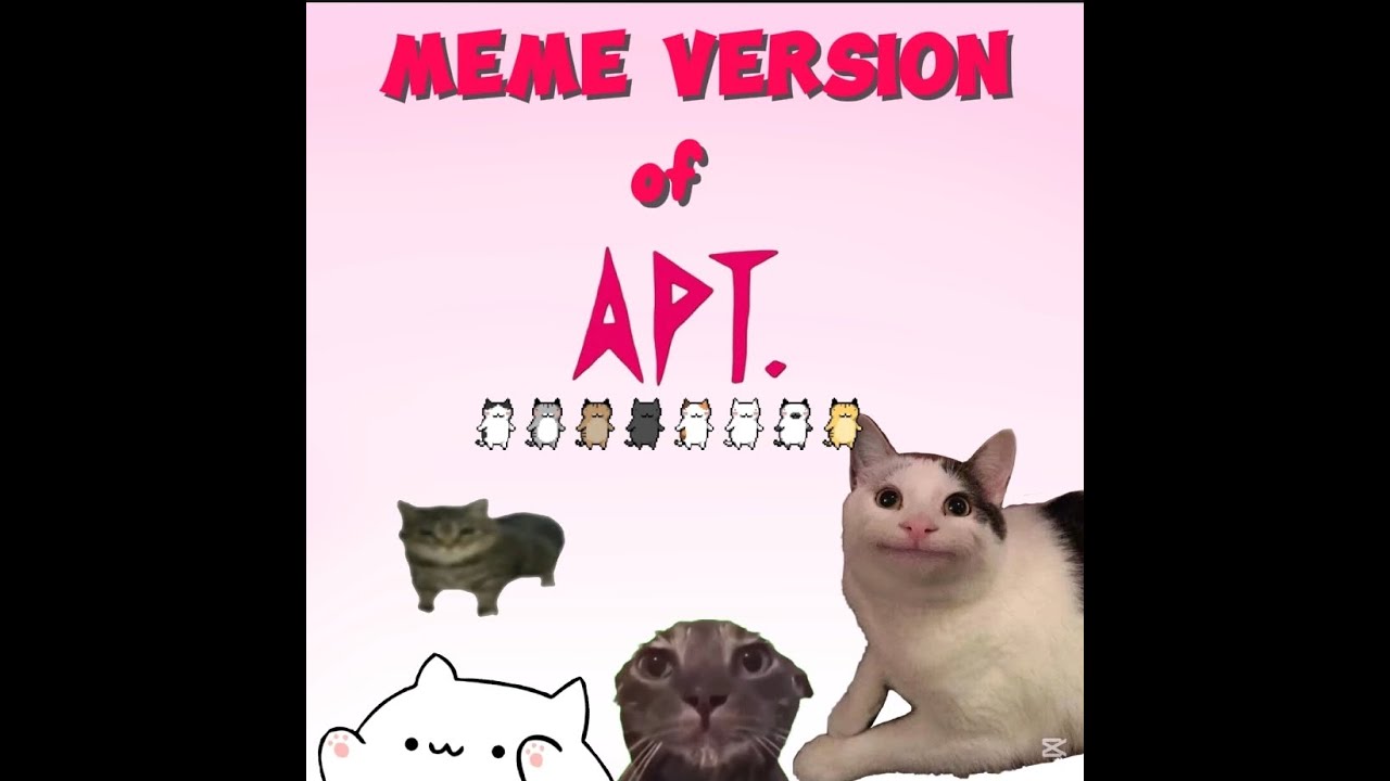 APT CAT VERSION 🐈 🎵 - YouTube