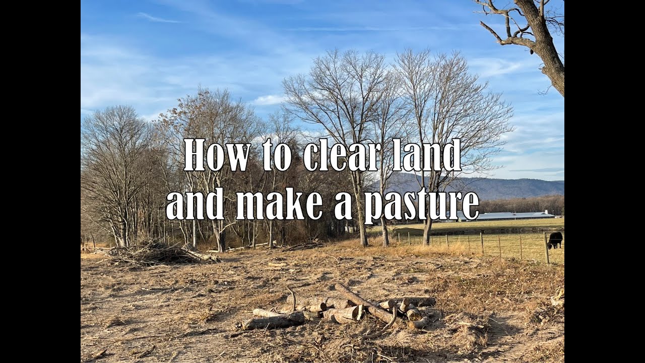 How to Clear Land and Make a Farm Pasture Part 2 - YouTube