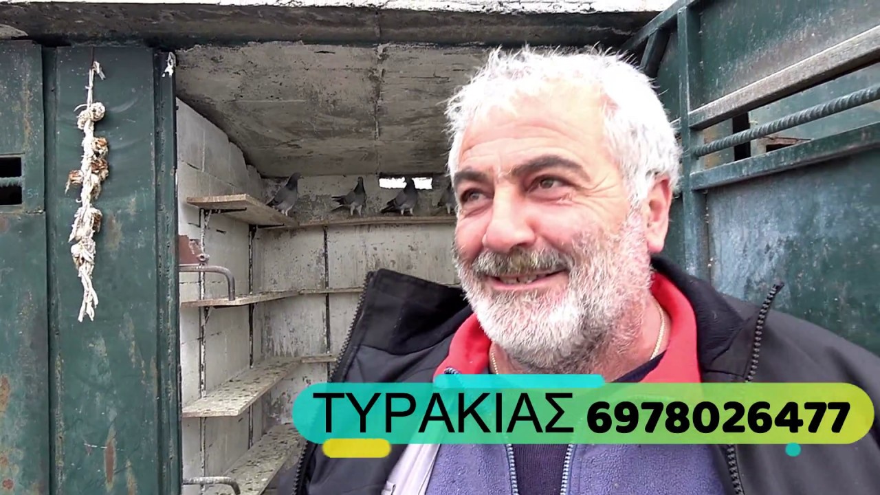 ΠΕΡΙΣΤΕΡΙΑ ΤΥΡΑΚΙΑΣ ΠΡΩΤΟΣ ΣΤΑ ΤΥΡΙΑ ΠΡΩΤΟΣ ΚΑΙ ΣΤΑ ΠΟΥΛΙΑ 2018 - YouTube
